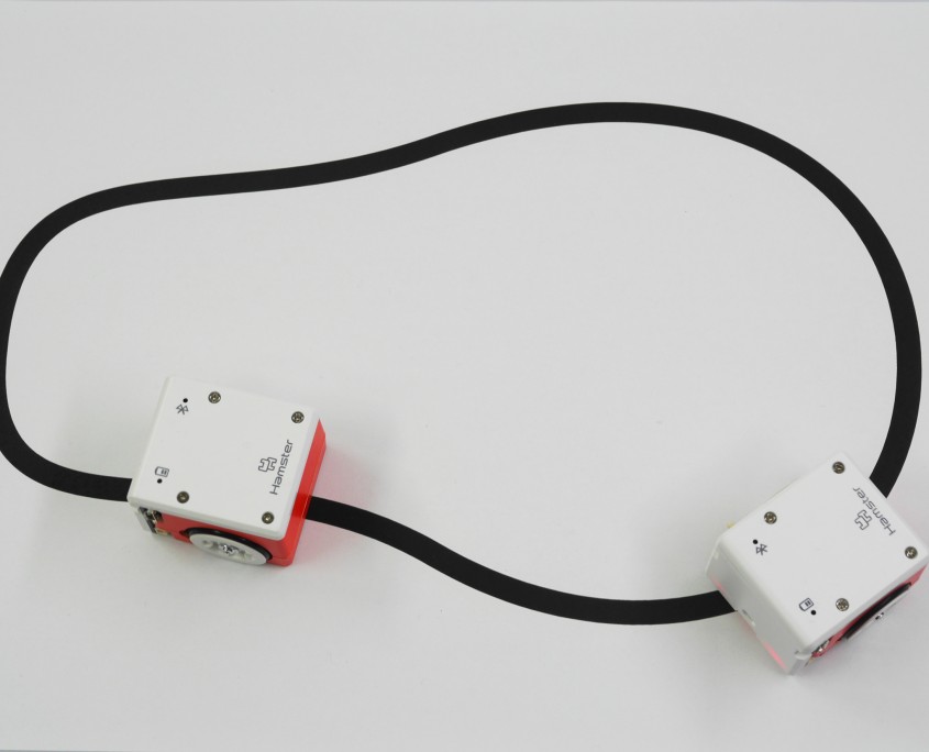 Hamster | 로보메이션 - Robomation